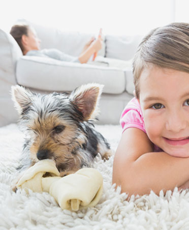 Maple Rug Cleaning Experts | Love Your Rug