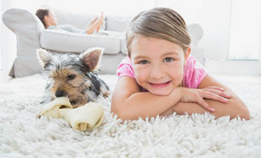 Rug Cleaning Toronto - LoveYourRug - Toronto Carpet Cleaners